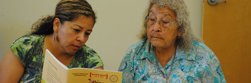 Home - Crow Language Consortium